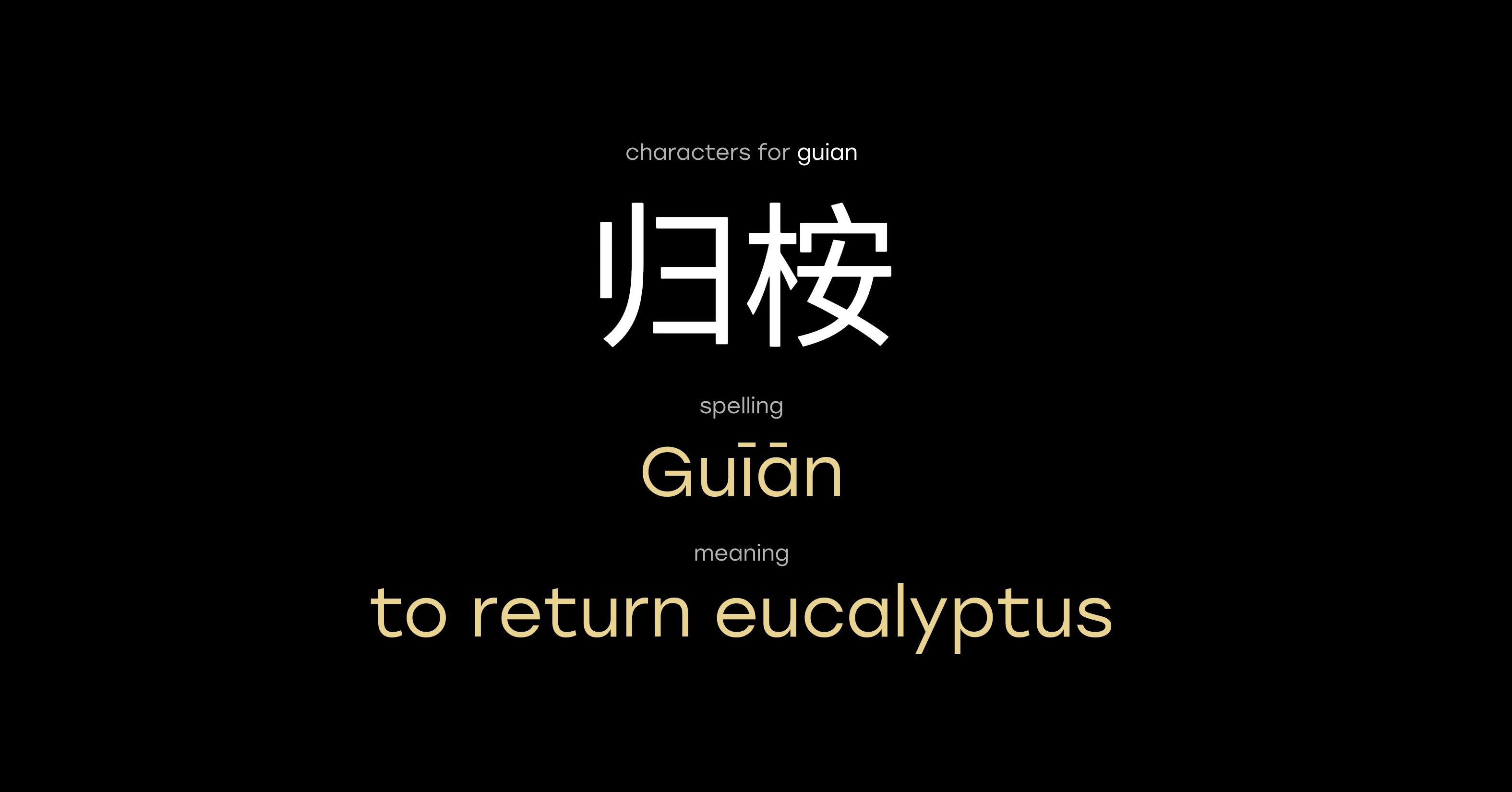 Meaning of name Guian in Chinese | Laoshi