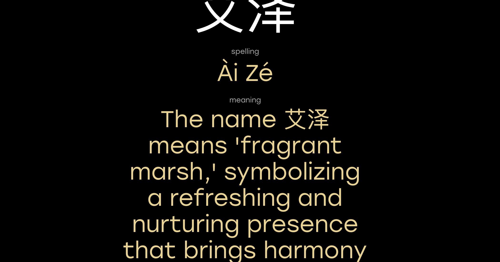 Meaning of name Exzel in Chinese | Laoshi