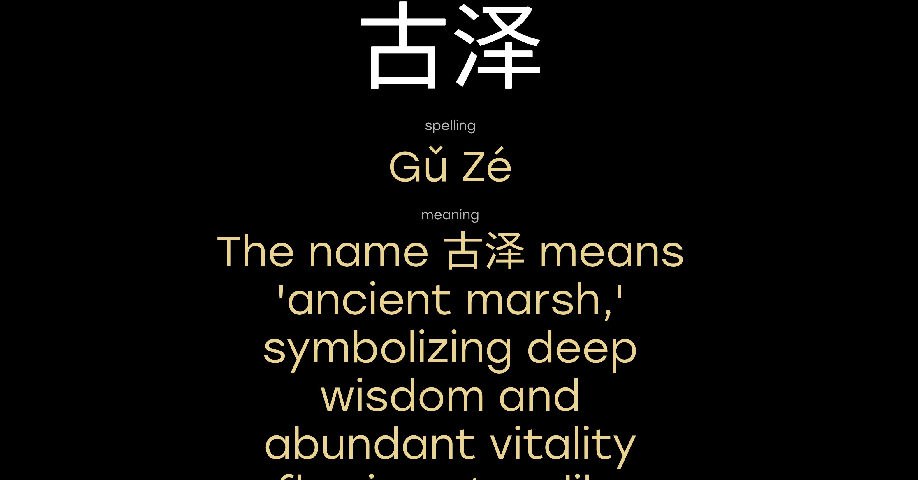 Meaning of name Gulzaib in Chinese | Laoshi