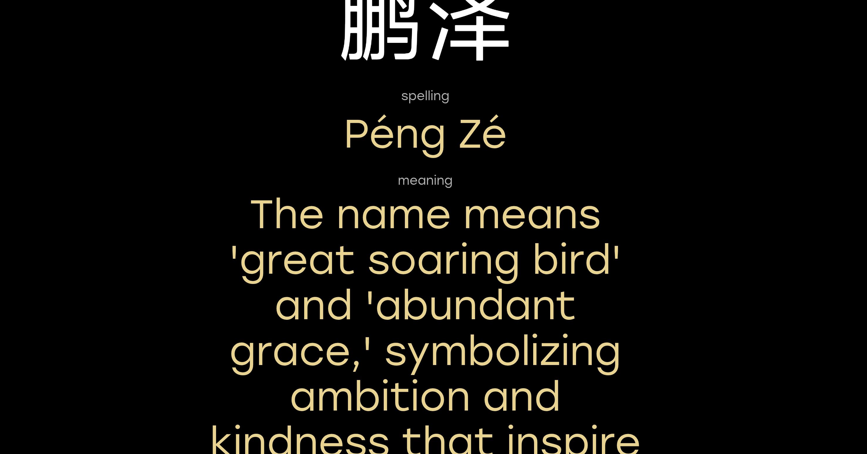 Meaning of name Prenzelgrylle in Chinese | Laoshi