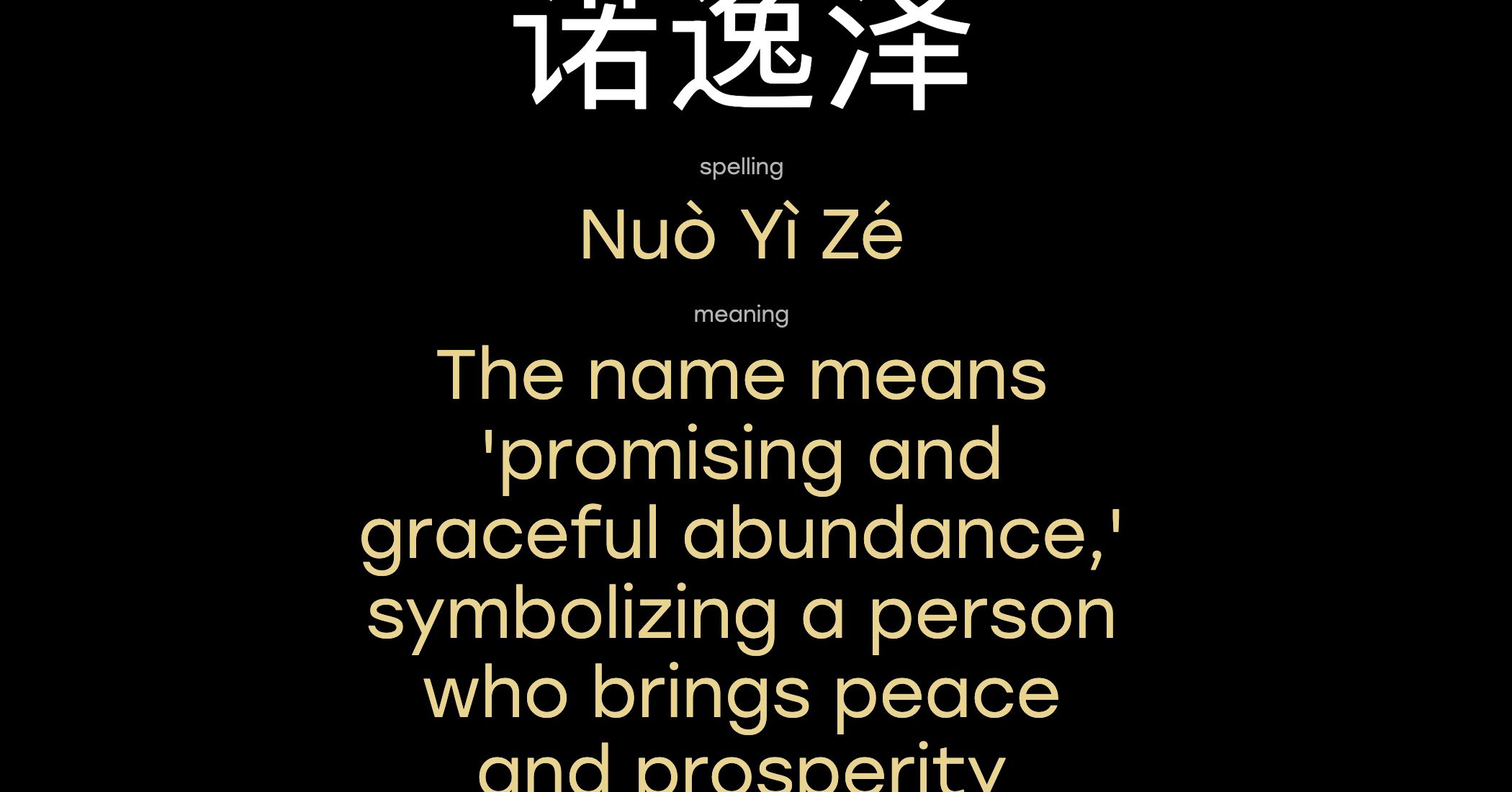 Meaning of name Noeyyszn in Chinese | Laoshi