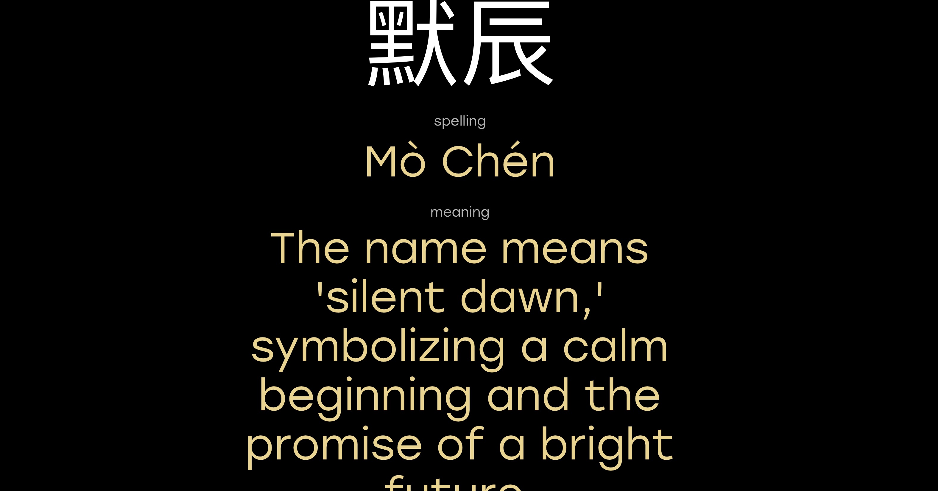 Meaning of name Namelessboy in Chinese | Laoshi