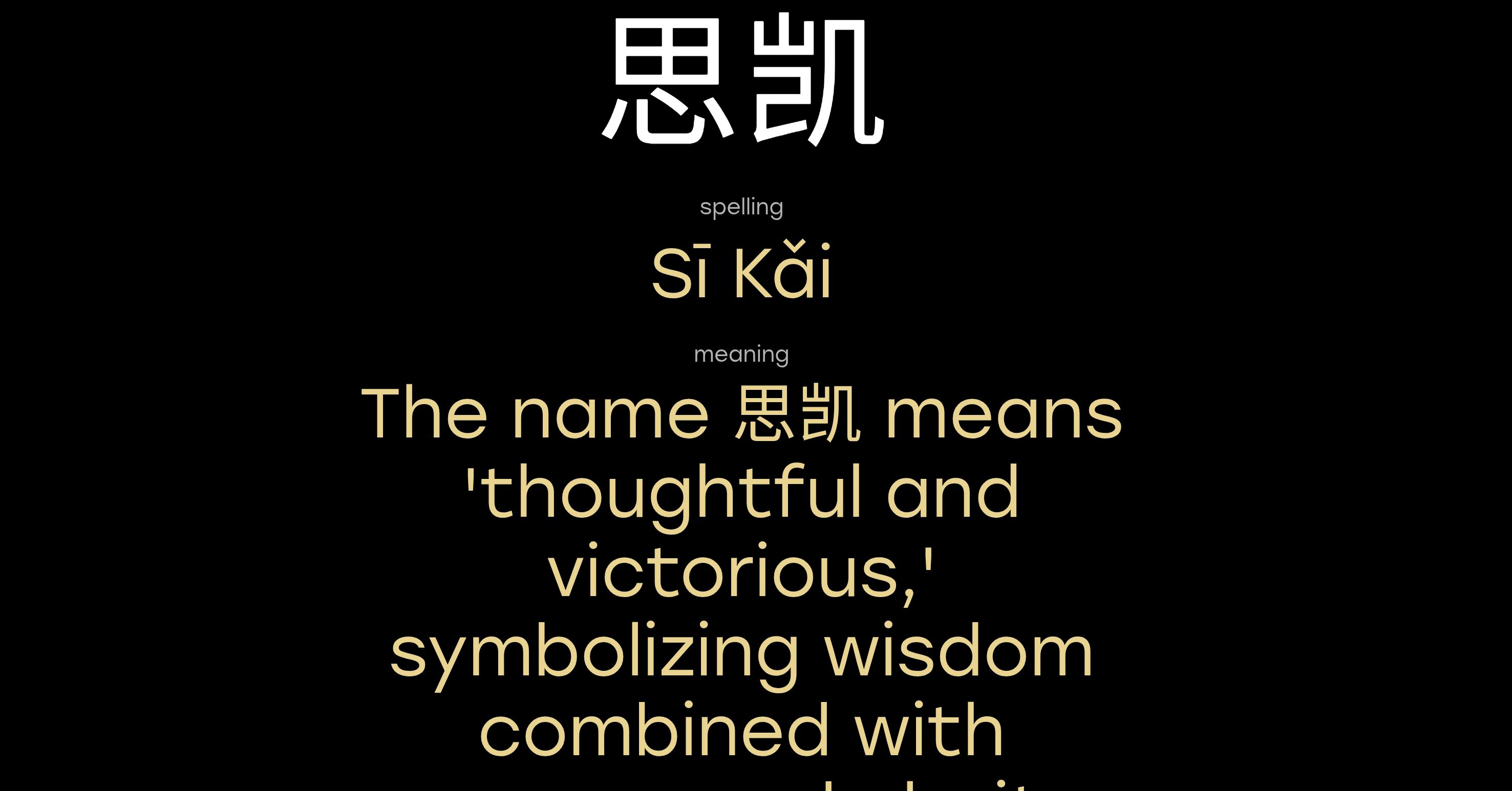 Meaning of name Smkyxchse in Chinese | Laoshi