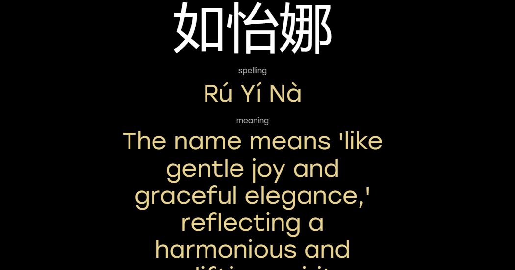 Meaning of name Nurhidayahafeenina in Chinese | Laoshi